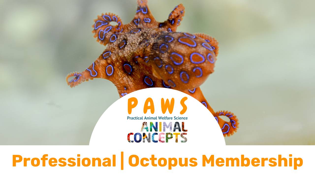 Individual membership to INTERBEING platforms by AnimalConcepts