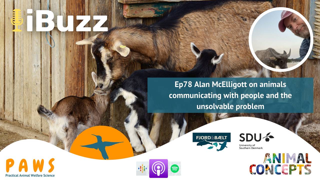Alan McElligott on animals communicating and the unsolvable problem