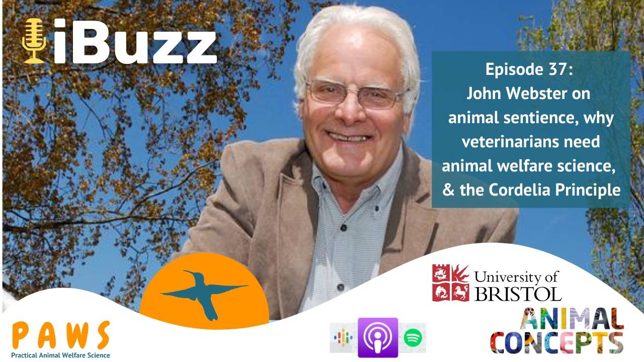 John Webster on animal sentience, science, & The Cordelia Principle