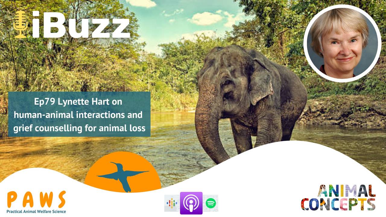 Lynette Hart on human-animal interaction & counselling for animal loss