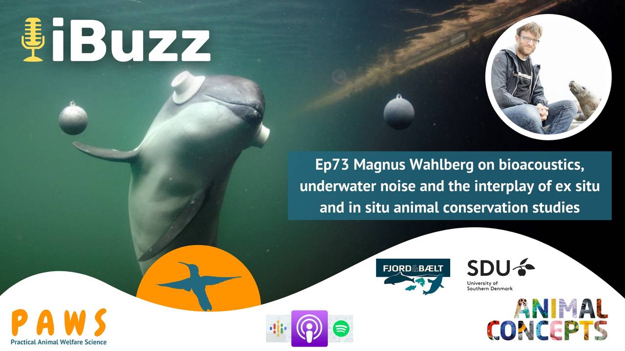 Magnus Wahlberg on bioacoustics, underwater noise & conservation