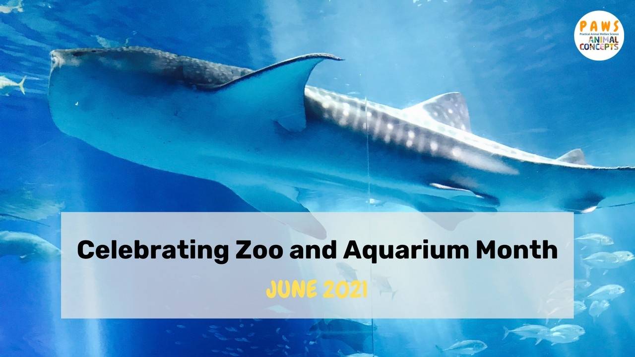 2021 Zoo and Aquarium month
