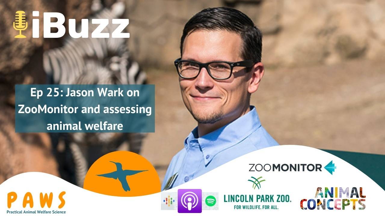 Jason Wark on ZooMonitor and assessing animal welfare