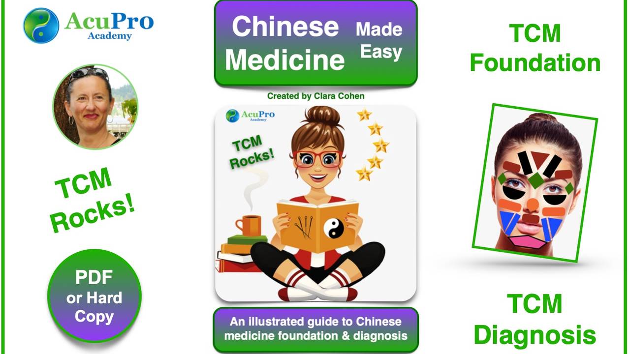 Chinese Medicine Made Easy Book or PDF