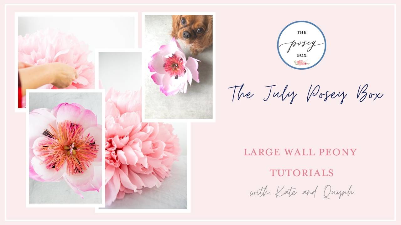 The July Posey Box is all about large wall peonies!
