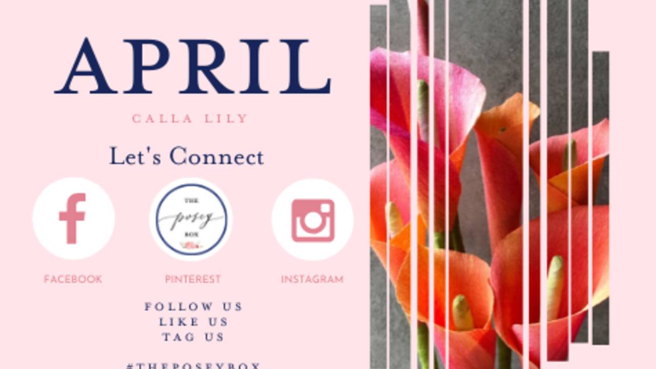 What is the Posey Box?