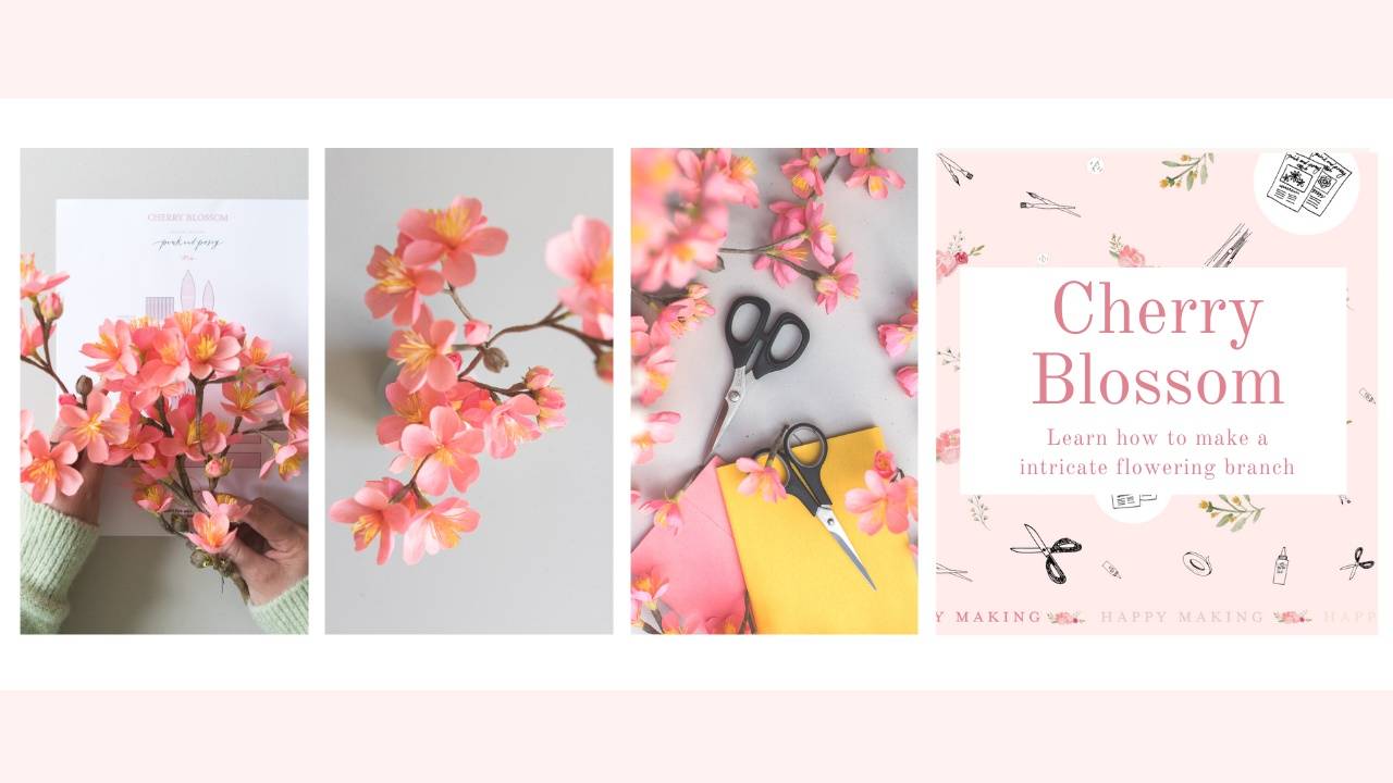 Learn more about The Posey Box