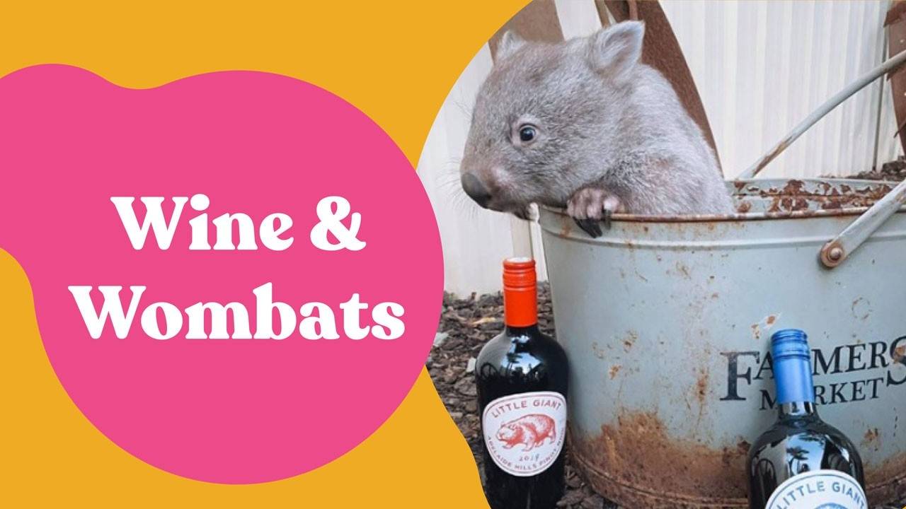 WIRES, wombats, a wine – what a way to make a difference!