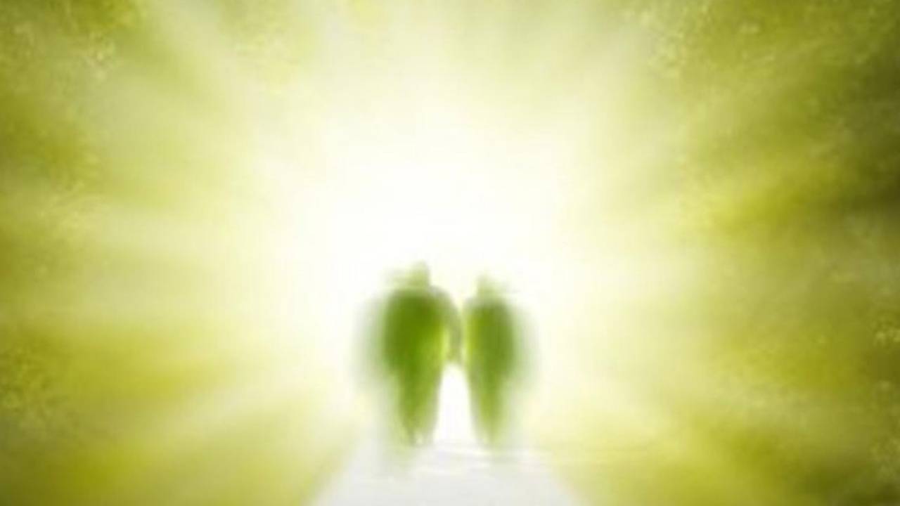 A Soul's Transition | Peter Williams Spiritual PT