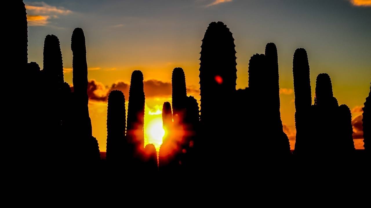 Carlos Castaneda Tensegrity Blog