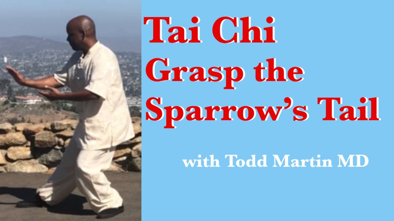 Tai Chi Basic Techniques-Grasp The Sparrow's Tail