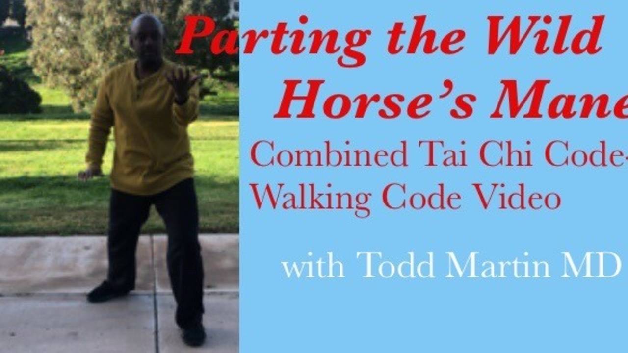 Tai Chi Basic Techniques-Parting the Wild Horse's Mane