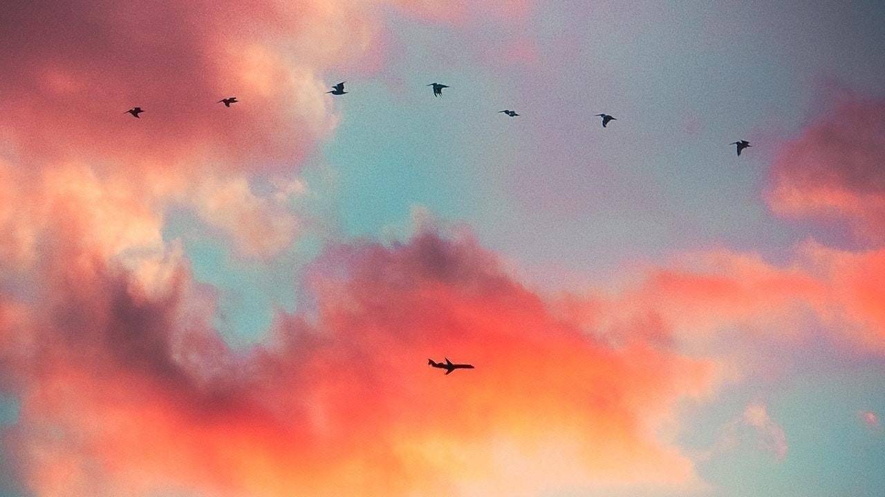 Start. Stop. Continue. How to reflect on the lockdown experience.