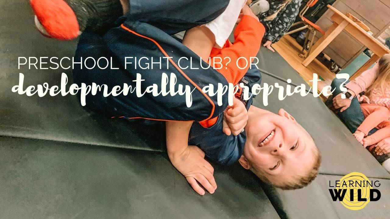 Developmentally Appropriate Play Includes Rough and Tumble Play