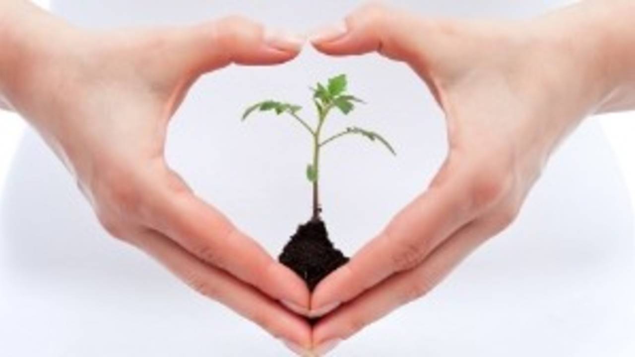 Share The Health - Evolvify Dr JJ Gregor, DC Addison TX 75001