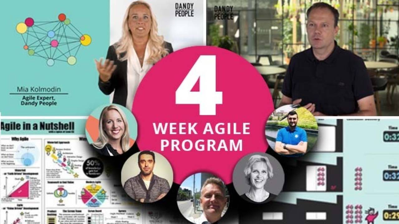 Exclusive Facilitated Online 4 Week Agile Program