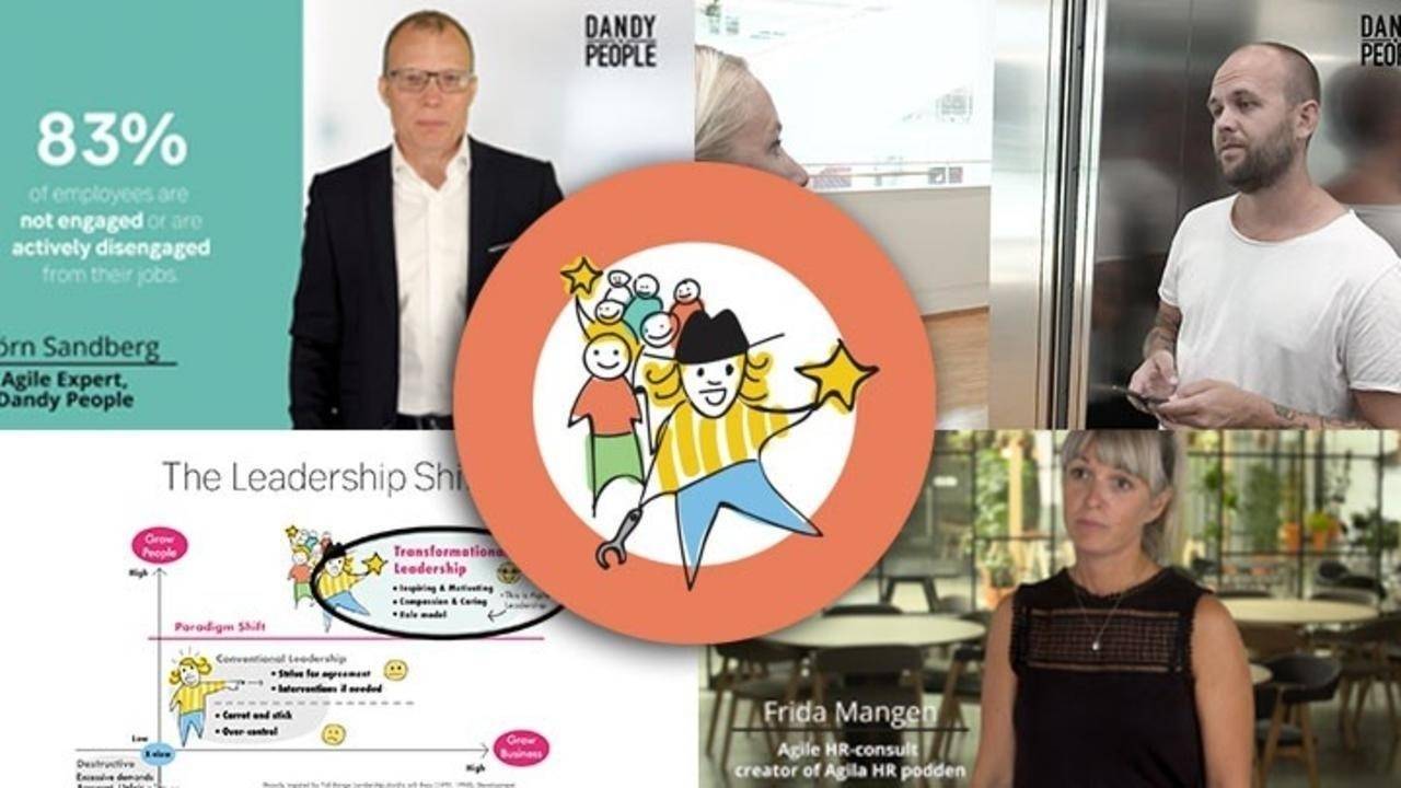 Agile Leadership in a Nutshell Online Training