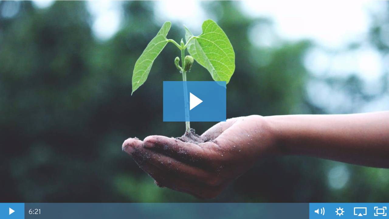 What Is Intuition? Learn About This Powerful Cellular Intelligence