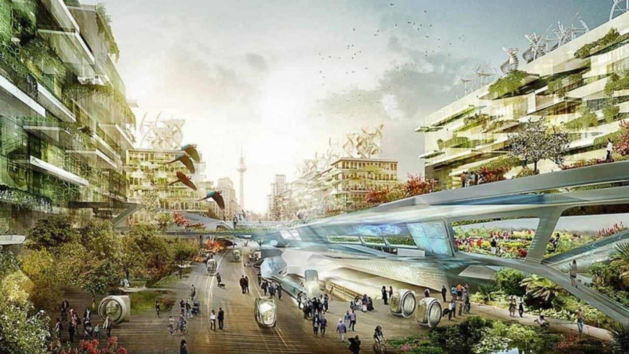 Why Biomimicry: The BIG PICTURE Part 1