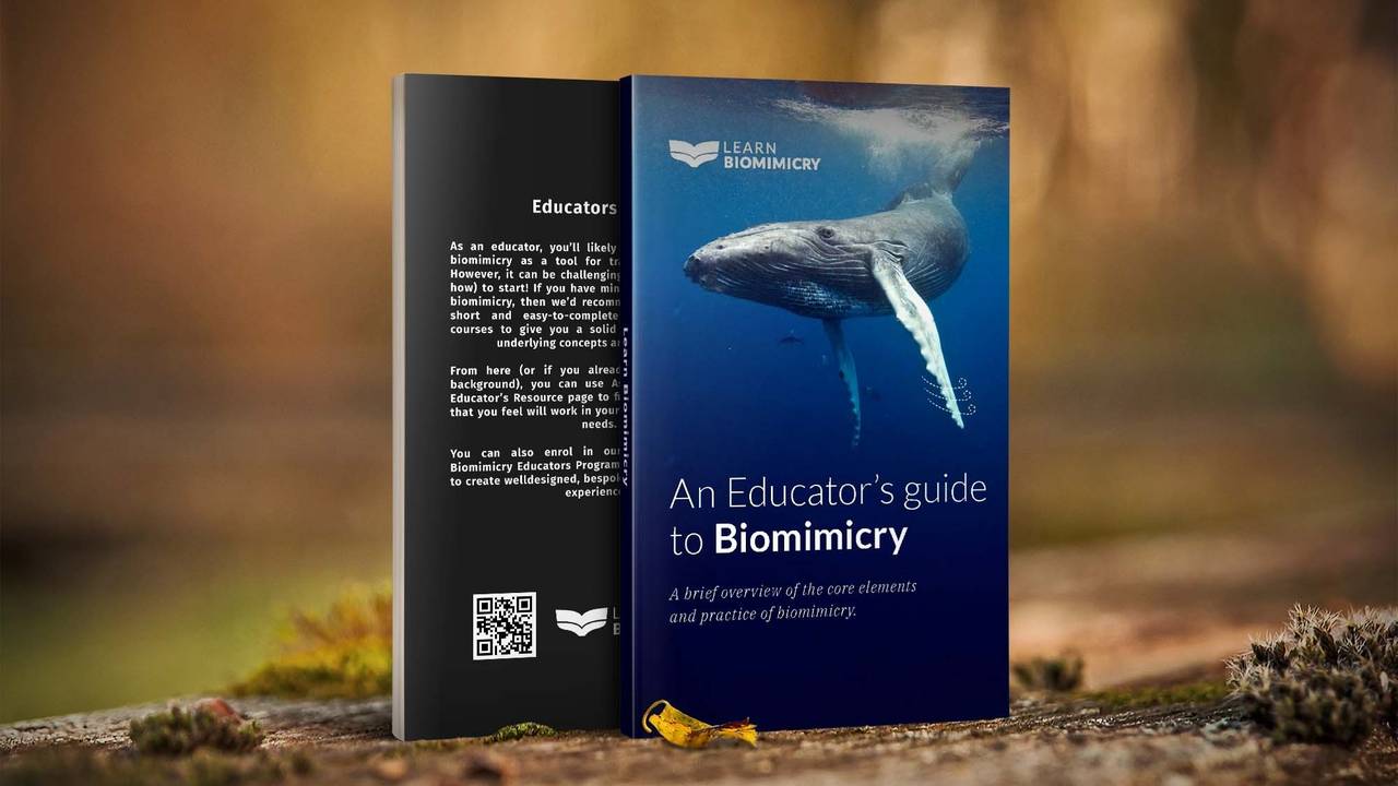 Free eBook: A Field Guide to Biomimicry