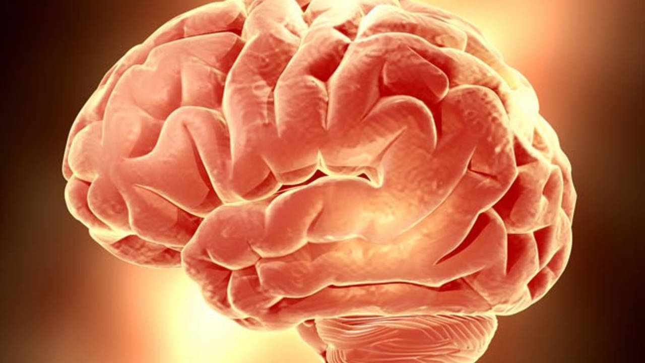 EEGer Neurofeedback Interview