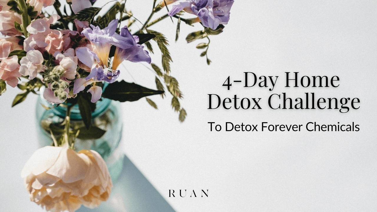 Detox Forever Chemicals From Your Home & Body