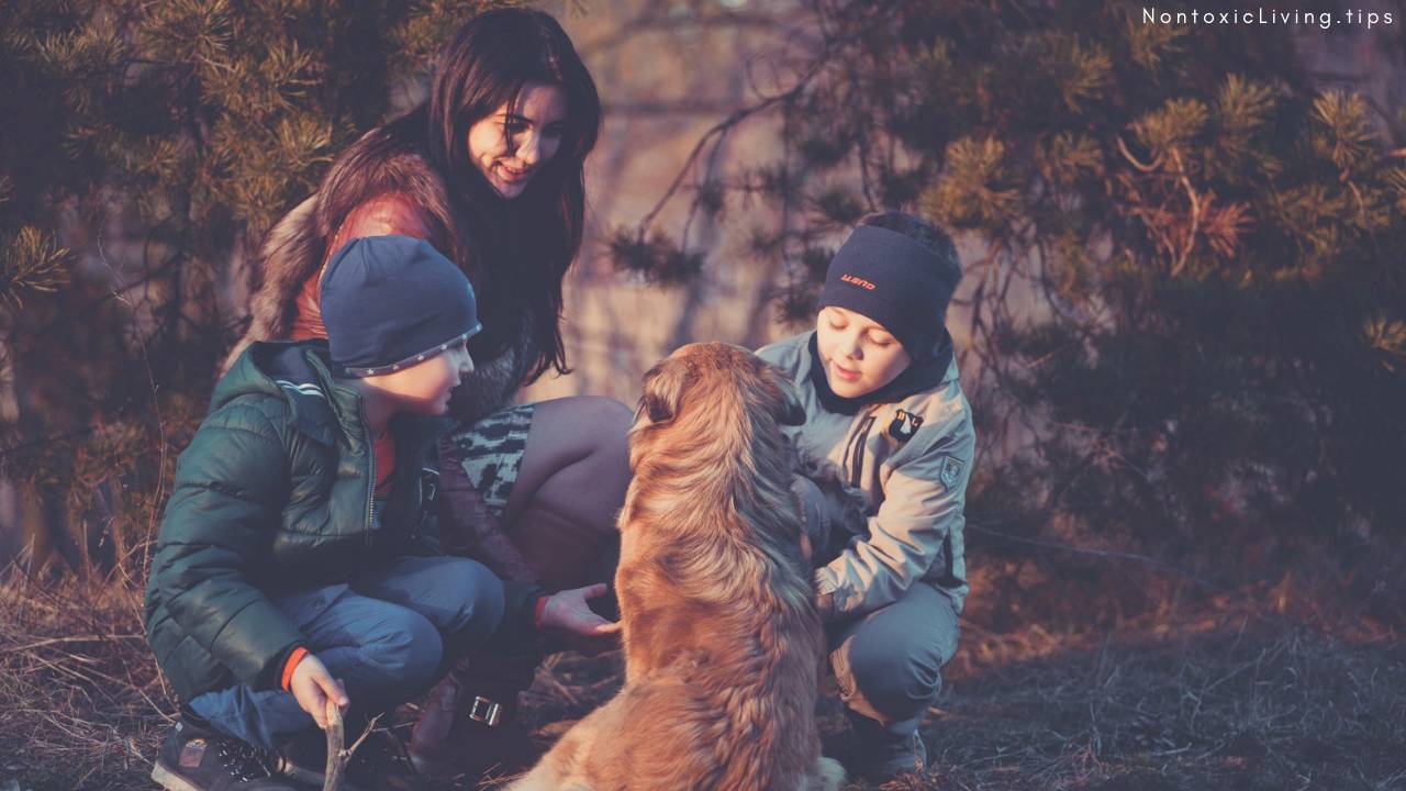 How Can Technology Impact Family Time? | Nontoxic Living