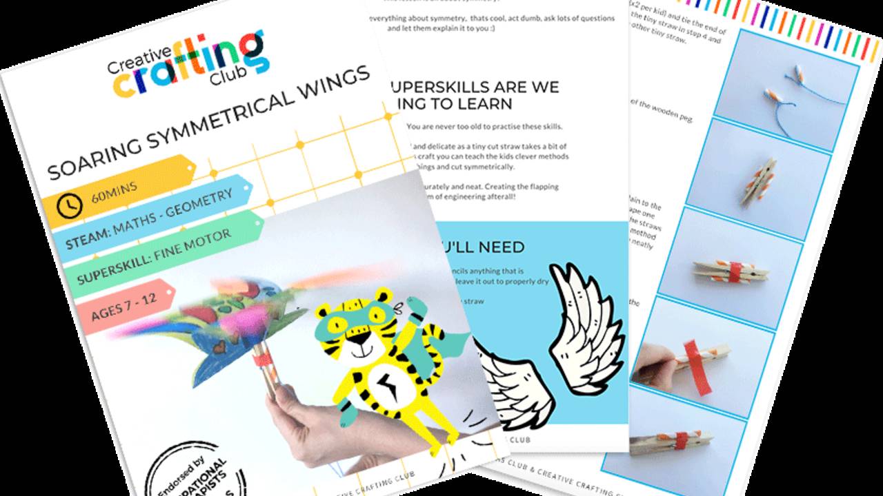 Soaring Symmetrical Wings Arts and Crafts Lesson Plan for Ages 7 to 12