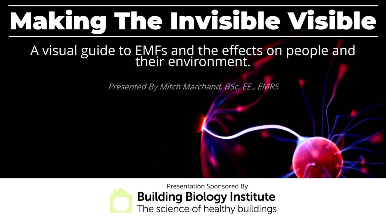 Mitch Marchand - Making the Invisible Visible