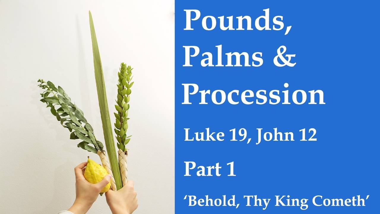 Come Follow Me LDS- Luke 19, John 12 Part 1