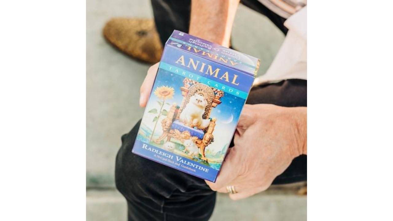 Animal Tarot Card Deck + Guidebook