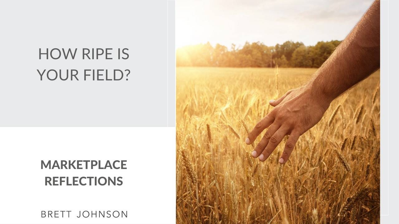 How Ripe Is Your Field?