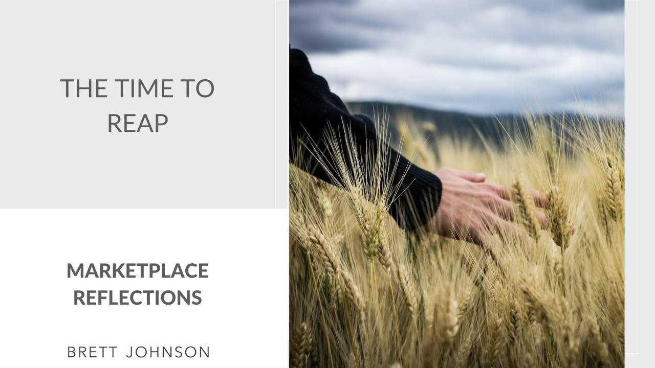 The Time To Reap