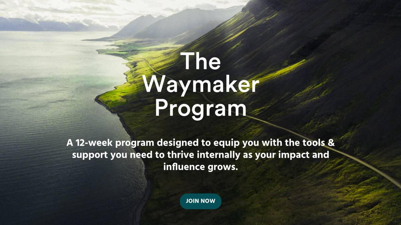 The Waymaker Program