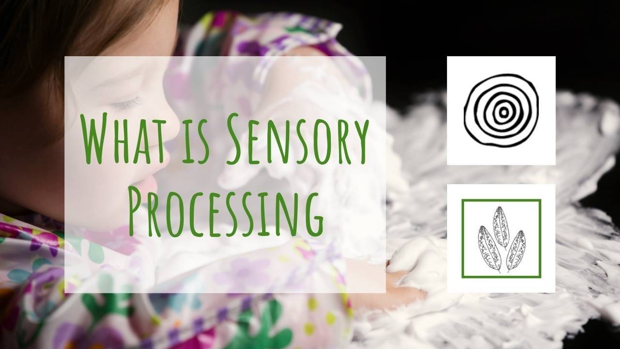 What is sensory processing?