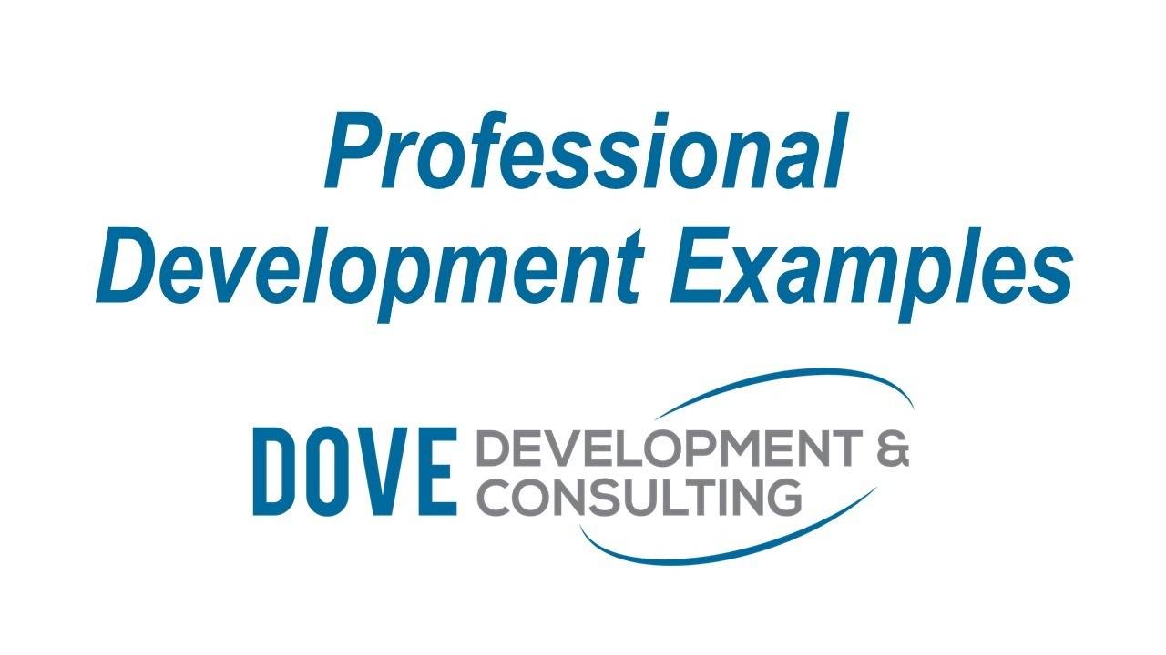 Professional Development Examples