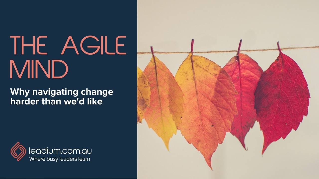 The Agile Mind: Navigating Change