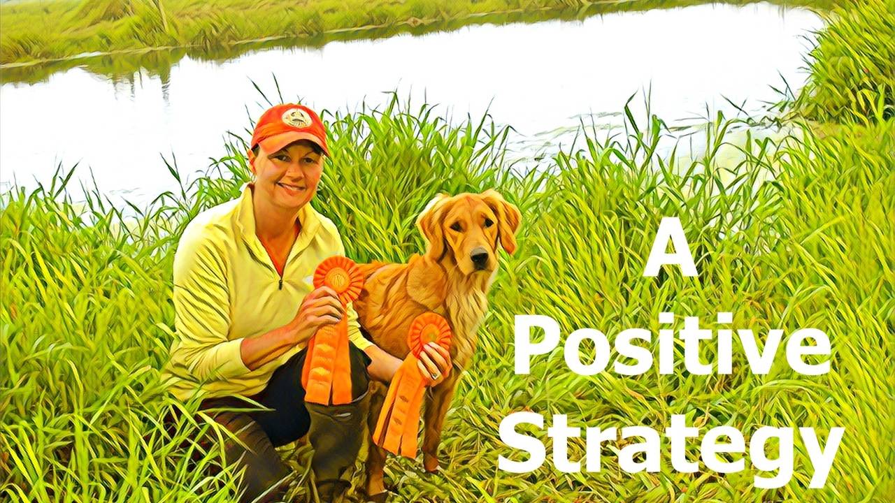 Positive Strategy Training
