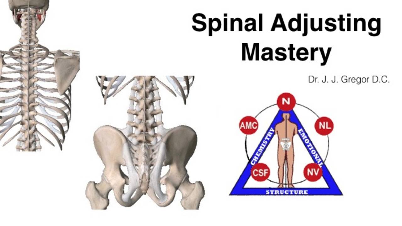 Dr J. J. Gregor's Weeknight Chiropractic Adjusting Course Registration