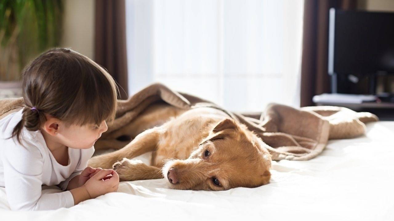 Making the world better by raising a caring child