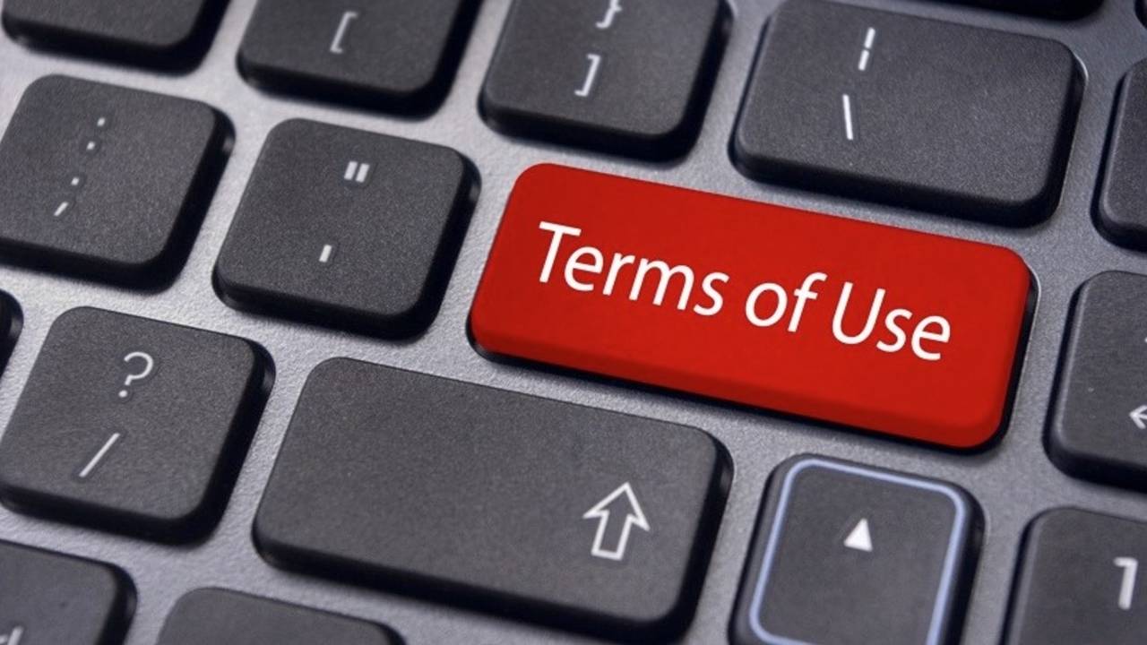 Real Yummy Food Disclaimers & Terms Of Use