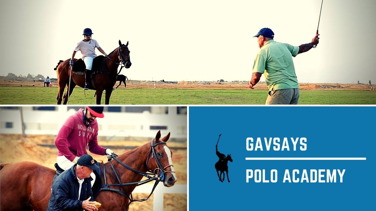Unlock Your Polo Potential: Join the GavSays Polo Academy