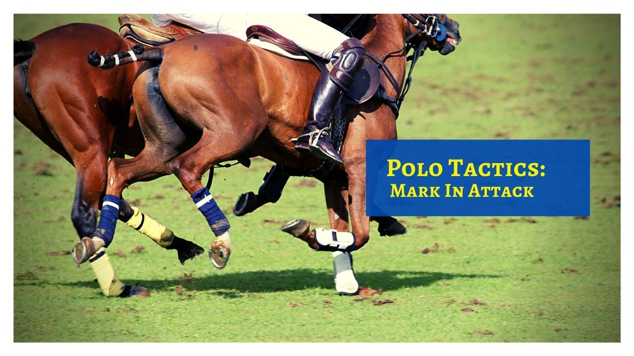 Why You Should Mark in Attack - Polo Lessons & Tactics