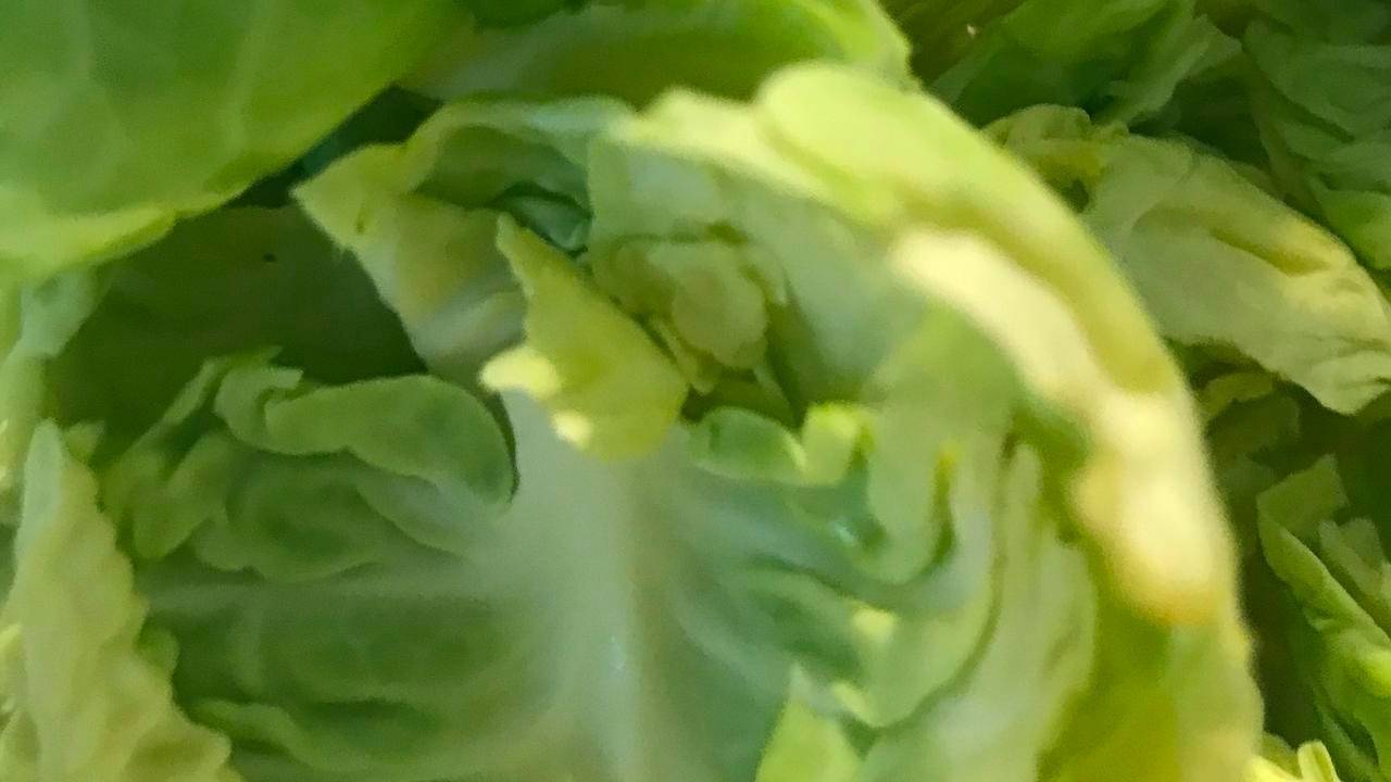 Brussel Sprout "Popcorn"