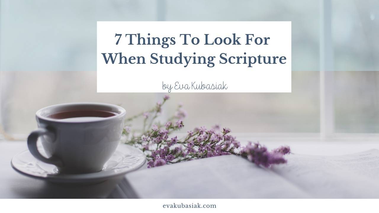 7 Things to Look for When Studying Scripture