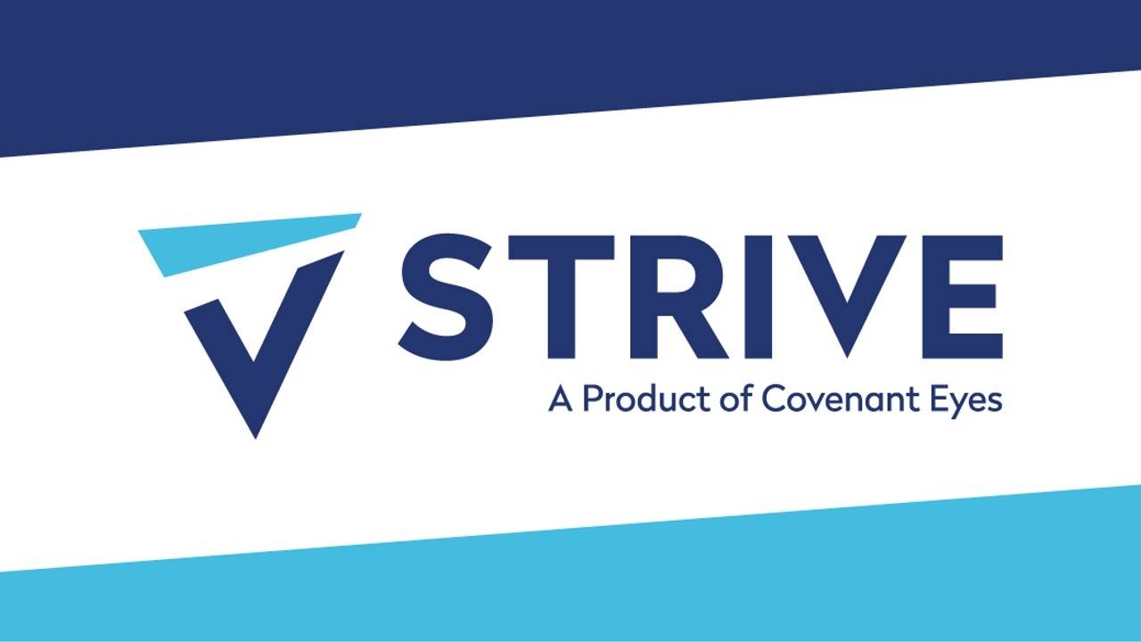 STRIVE Contact Us