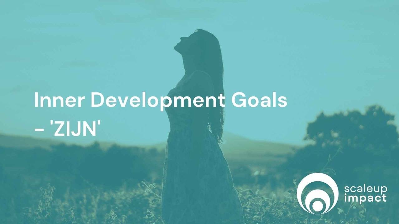 Inner Development Goals - 'Zijn'