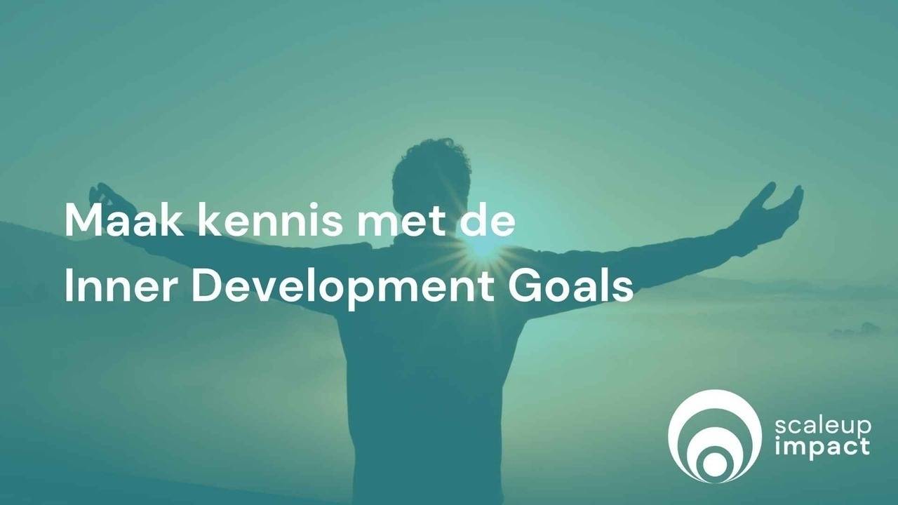 Wat zijn de Inner Development Goals (IDG's)?