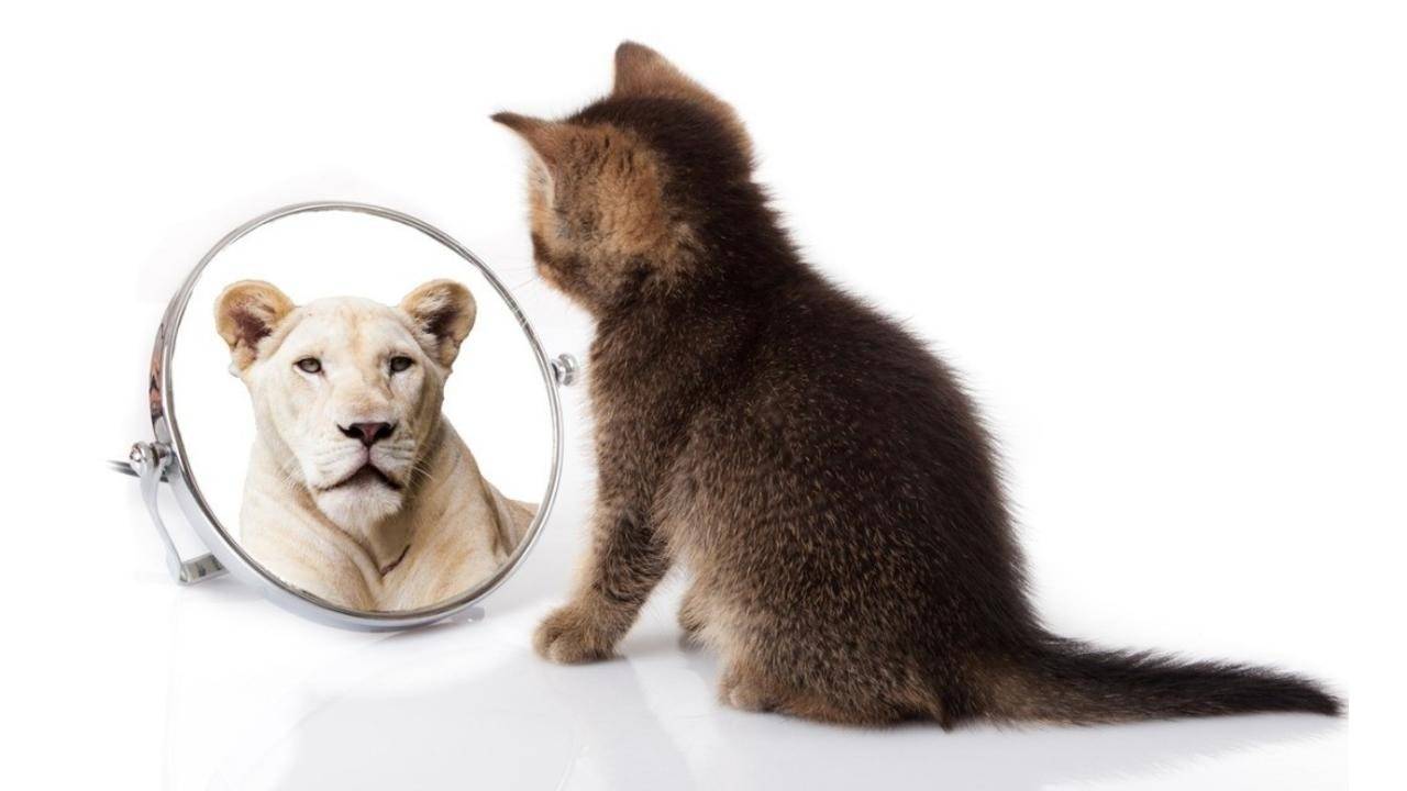 How Do You See Yourself?