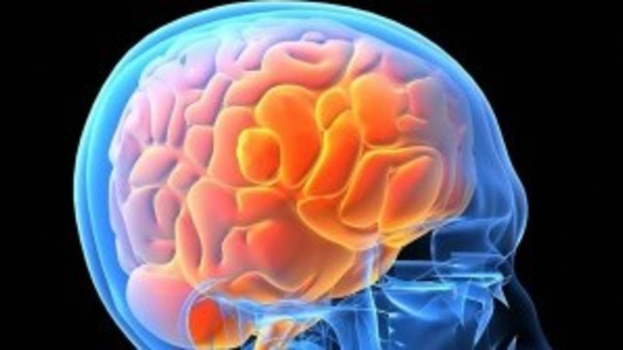 Our Amazing Brains: Packed with the Power to Transform Our Lives